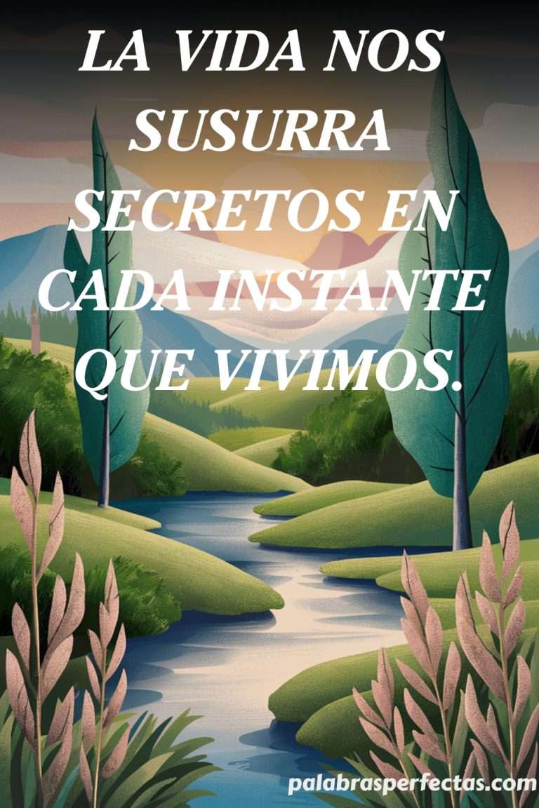 200+ Reflexiones de Vida Diaria Únicas: Mensajes Originales para ...