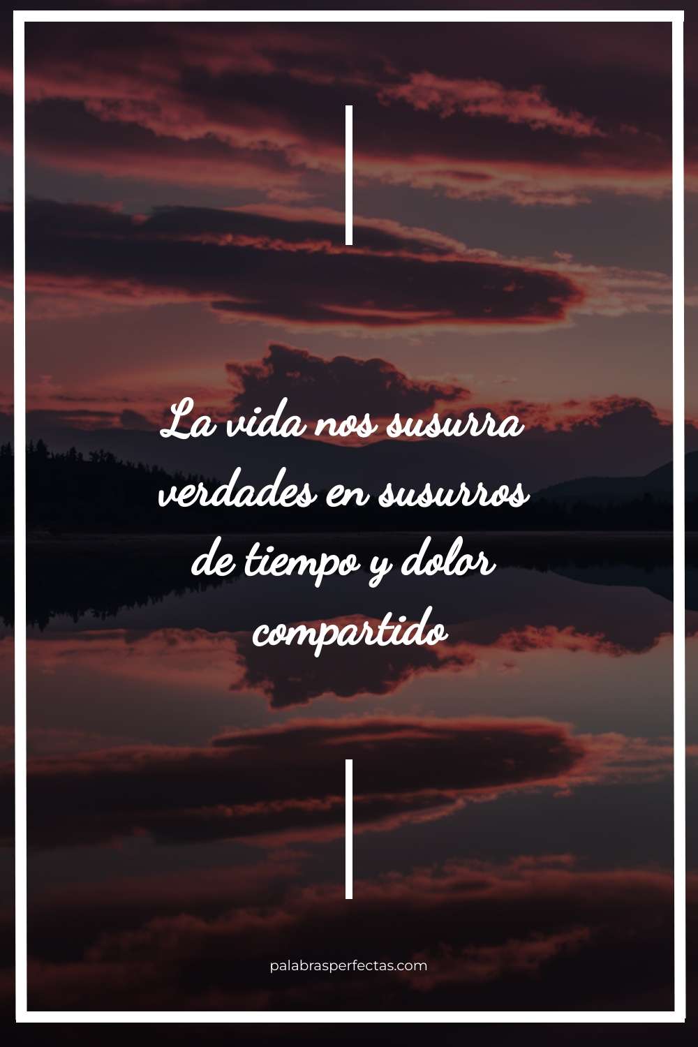 200+ Reflexiones de Vida Diaria Únicas: Mensajes Originales para ...