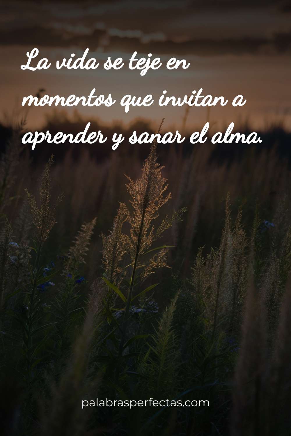 200+ Reflexiones de Vida Diaria Únicas: Mensajes Originales para ...