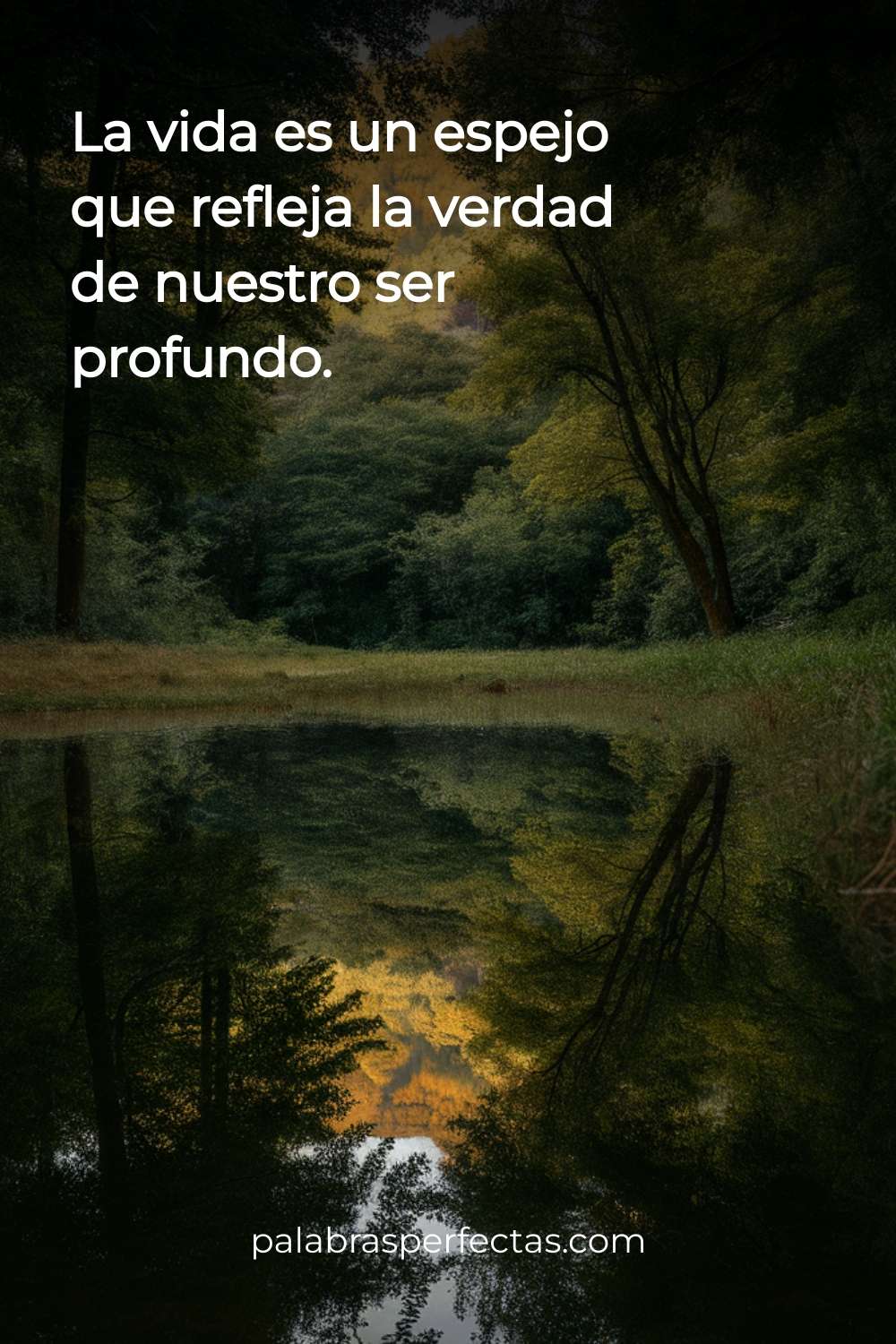 200+ Reflexiones de Vida Diaria Únicas: Mensajes Originales para ...