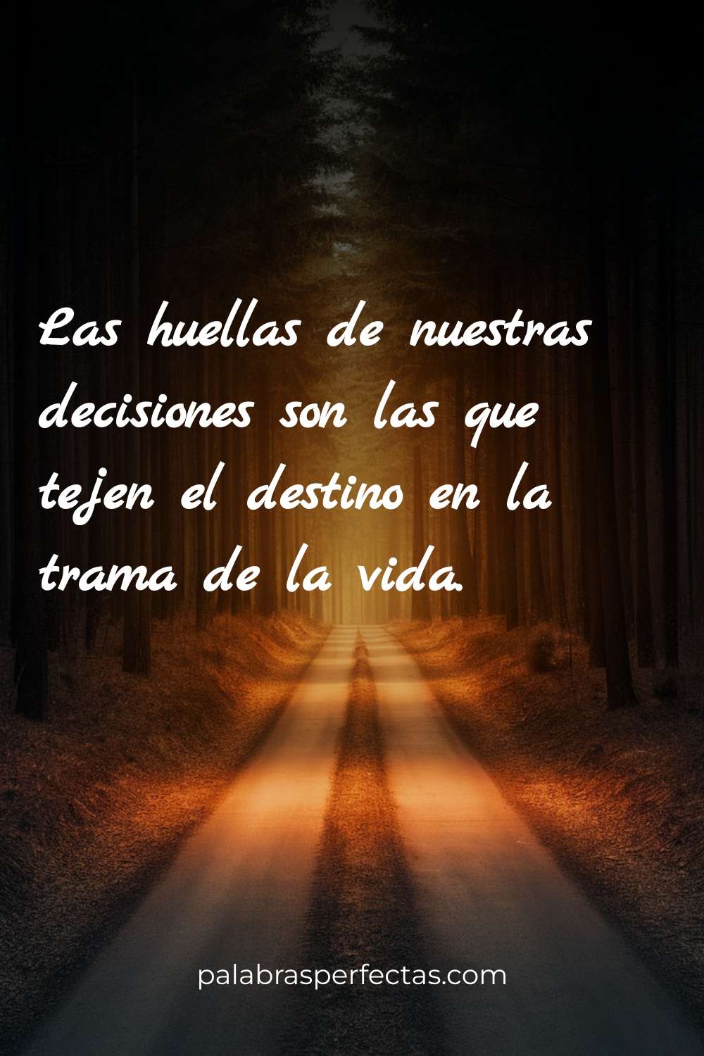 200+ Reflexiones de Vida Diaria Únicas: Mensajes Originales para ...