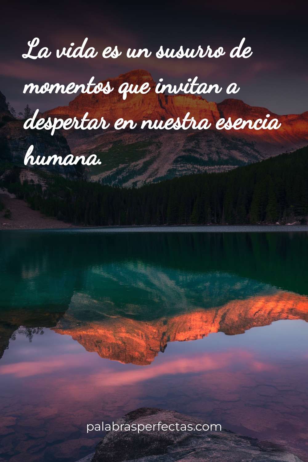 200+ Reflexiones de Vida Diaria Únicas: Mensajes Originales para ...